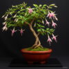200pcs Mixed Color Mini Fuchsia Bonsai Begonia Flowers Indoor Miniature ...
