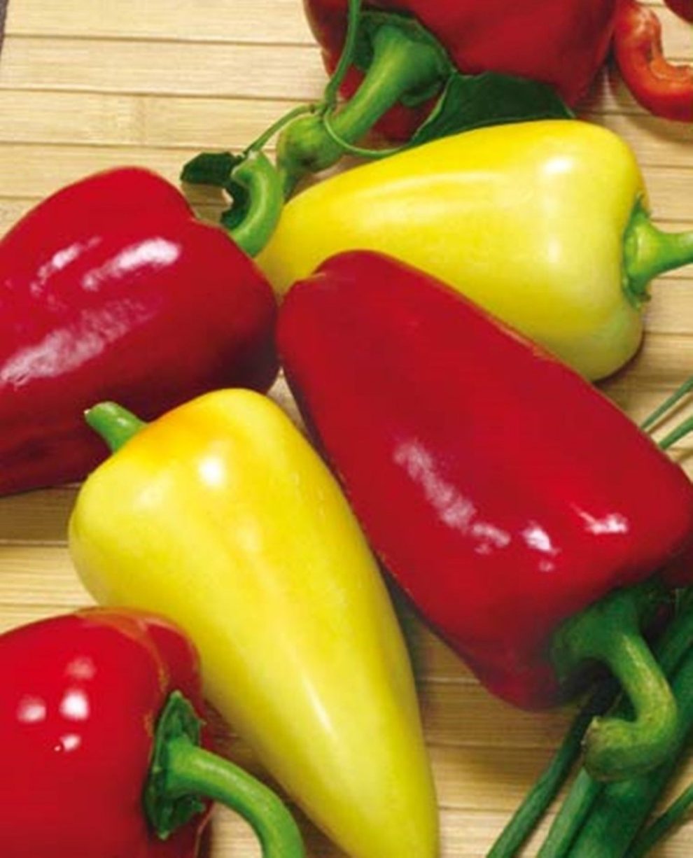 Mixed Pepper Vegetable Seeds For Diy Cultivation - BestSeedsOnline.com ...