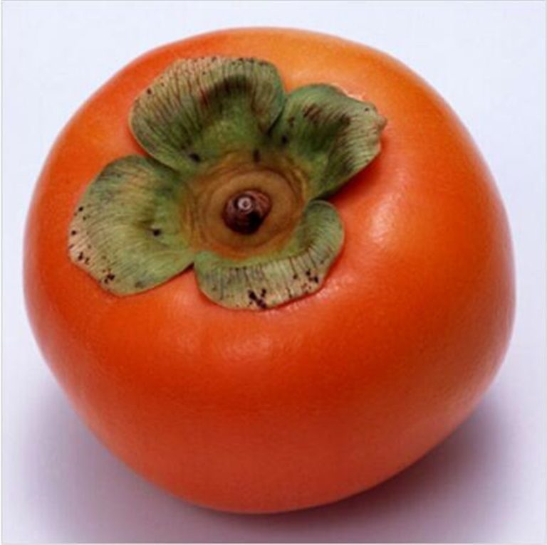 50 Pcs Nongmo Diospyros Kaki Persimmon Seeds - BestSeedsOnline.com ...