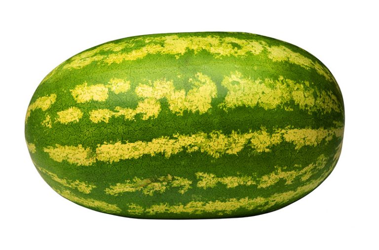 Giant Watermelon Edible Nongmo Seeds - BestSeedsOnline.com - Free ...