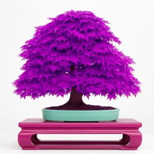 Japanese Purple Ghost Maple Tree Bonsai Flores Acer Palmatum Garden ...