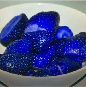 Organic Blue Strawberry Tree Seeds 1000 Pcs Bag - BestSeedsOnline.com ...