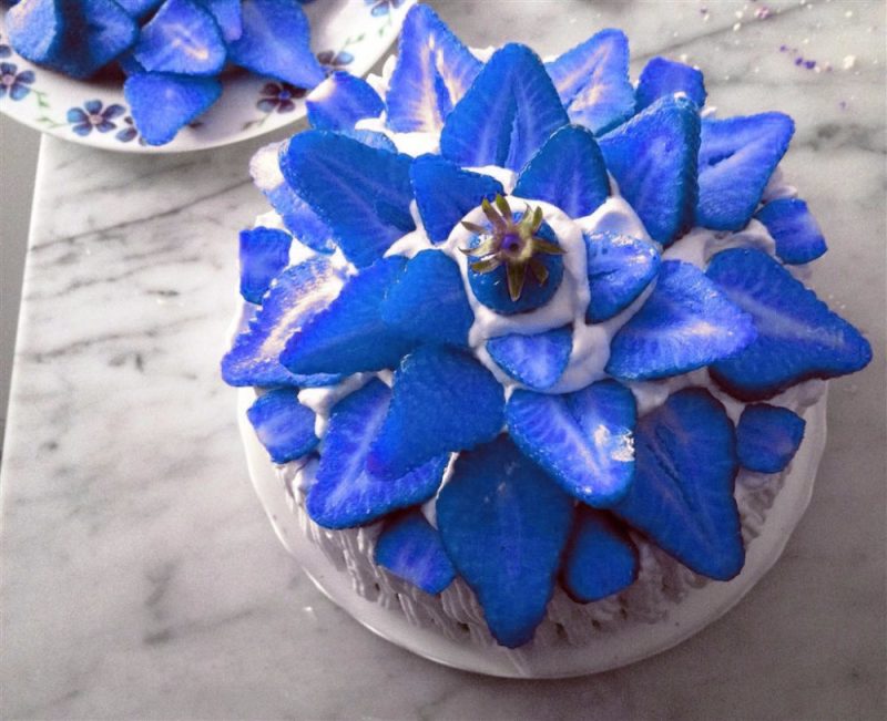 Organic Blue Strawberry Tree Seeds 1000 Pcs Bag - BestSeedsOnline.com ...