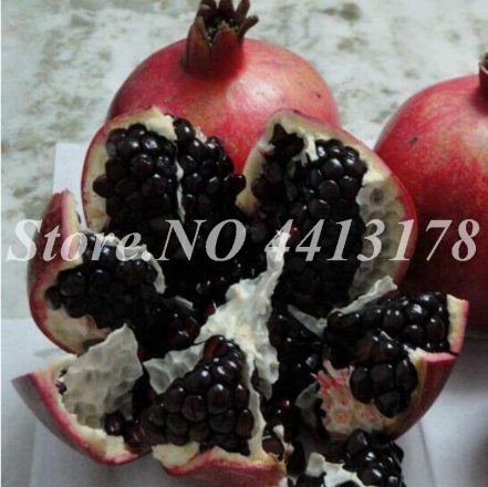 Organic Black Pomegranate Tree Seeds 50pcs - BestSeedsOnline.com - Free ...