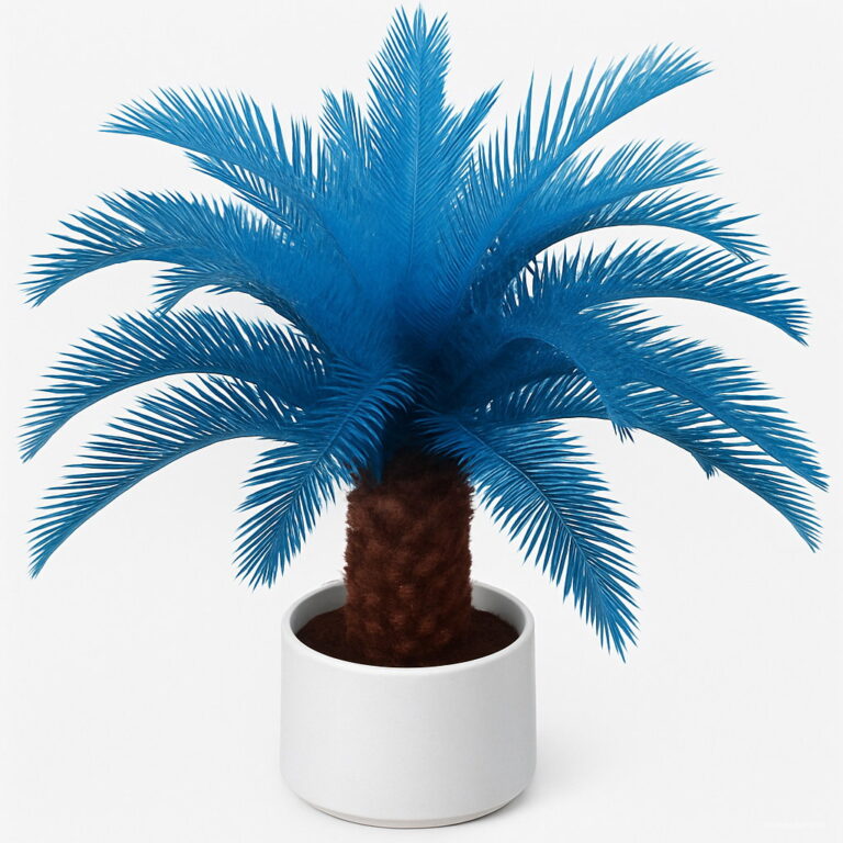10 Pcs Rare Blue Mini Sago Palm Seeds - BestSeedsOnline.com - Free ...