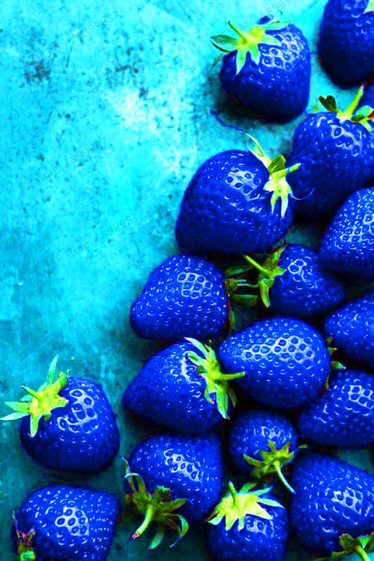 509 Blue Strawberry Seeds For Delicious Mini - BestSeedsOnline.com ...