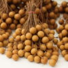 Exotic Dragon Eye Dimocarpus Longan Seeds 5pcs - BestSeedsOnline.com ...