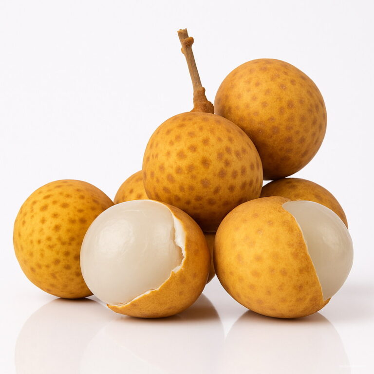 Exotic Dragon Eye Dimocarpus Longan Seeds 5pcs - BestSeedsOnline.com ...