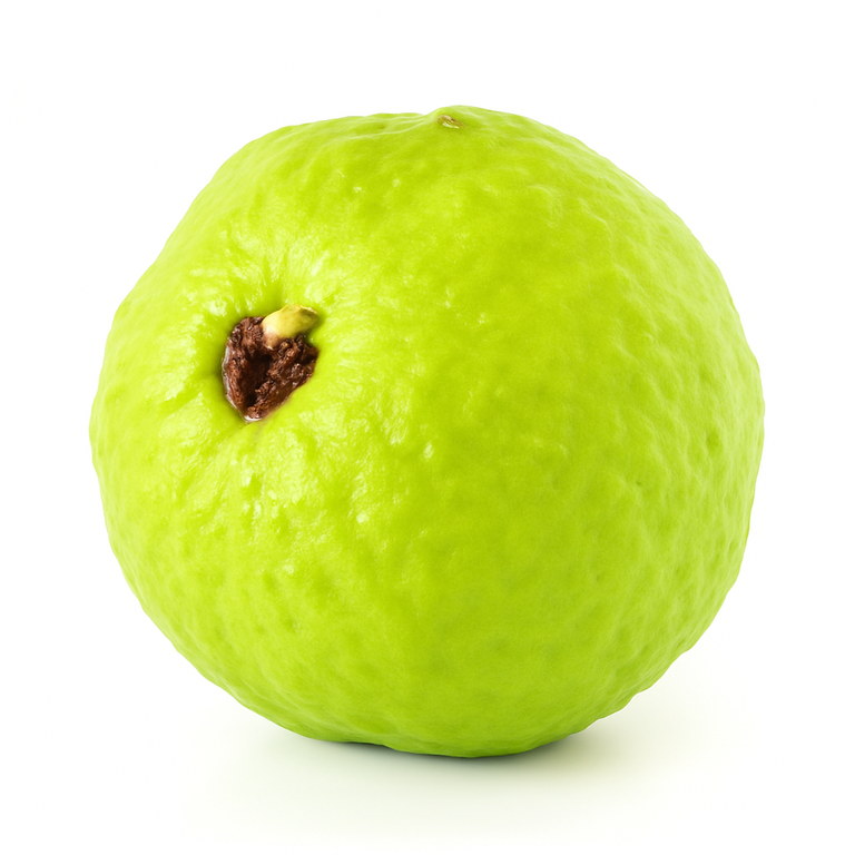 Tropical Guava Seeds Pack Of 100 For Cultivation - BestSeedsOnline.com ...