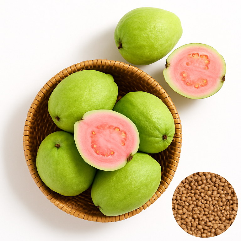 Tropical Guava Seeds Pack Of 100 For Cultivation - BestSeedsOnline.com ...