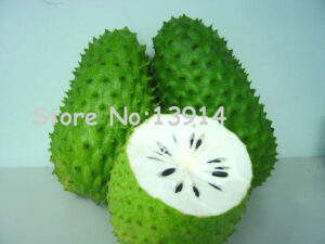 20 Pcs Exotic Soursop Fruit Seeds Pack - BestSeedsOnline.com - Free ...