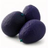 Quality Avocado Seeds Pack Of 10 - BestSeedsOnline.com - Free Shipping ...
