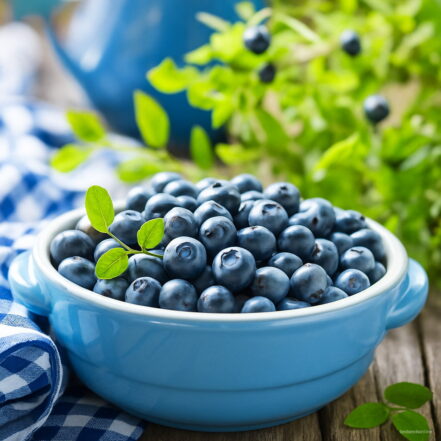 100pcs Organic Blueberry Seeds For Cultivation - BestSeedsOnline.com ...