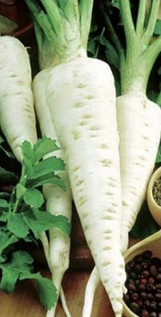 Parsnip Seeds Pack 100 Count For Cultivation - BestSeedsOnline.com ...