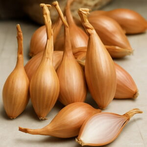 Red Onion Seeds Pack Of 100pcs - BestSeedsOnline.com - Free Shipping ...