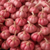 Red Onion Seeds Pack Of 100pcs - BestSeedsOnline.com - Free Shipping ...