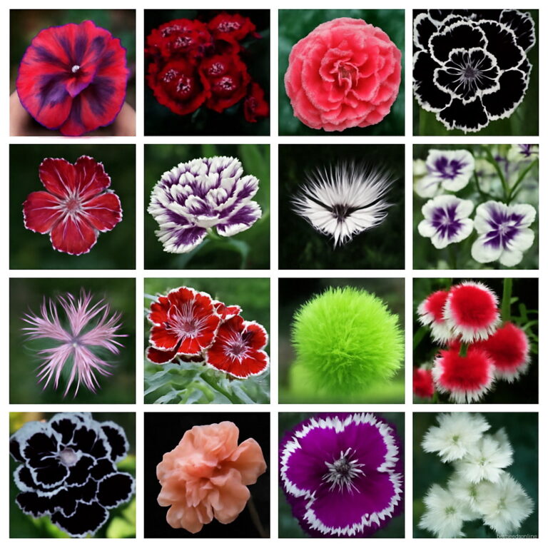 100pcs Vibrant Coreopsis Flower Seeds Pack - BestSeedsOnline.com - Free ...