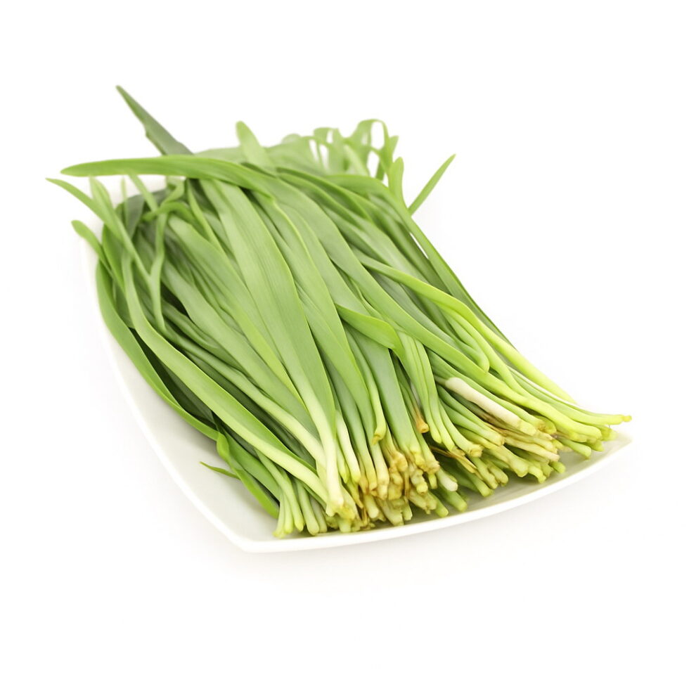 100pcs Organic Chinese Chive Seeds For Cultivation - BestSeedsOnline ...