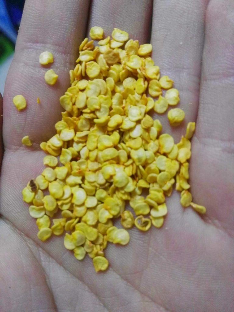 Organic Multicolor Bell Pepper Seeds 200pcs - BestSeedsOnline.com ...