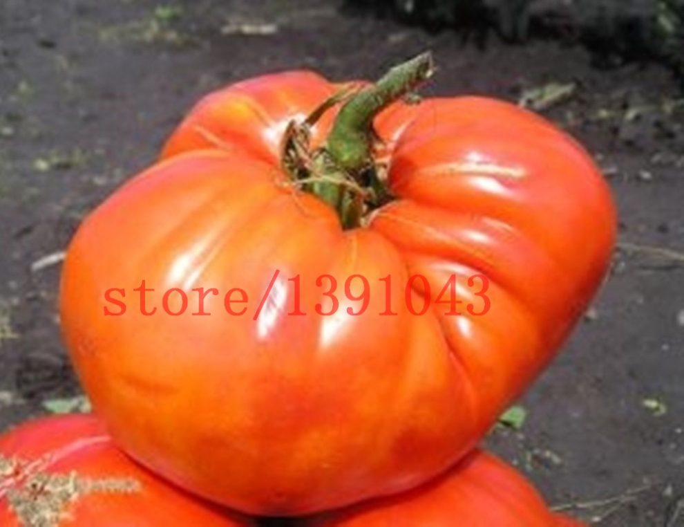 200pcs Heirloom Big Beef Tomato Seeds - BestSeedsOnline.com - Free ...