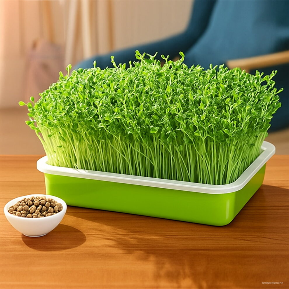 Large Capacity Soilfree Wheatgrass Seedling Tray Plastic Nursery Pots ...