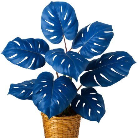 100 Pcs Palm Turtle Leaves Monstera Bonsai Outdoor Potted Plant Tree ...