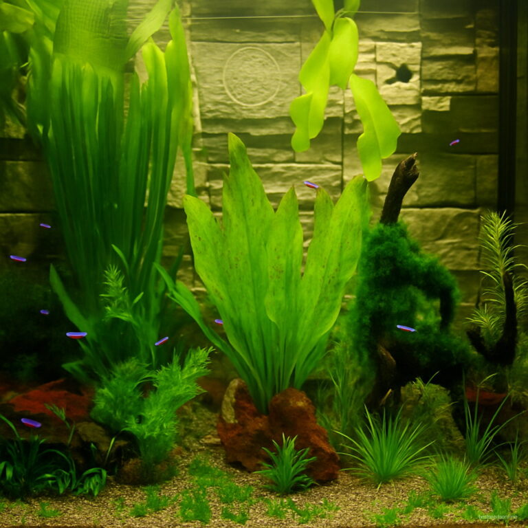 Aquarium Grass Seeds 500 Pcs Aquatic Landscape - BestSeedsOnline.com ...