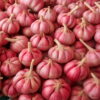 100pcs Red Garlic Seeds Healthy Onions - BestSeedsOnline.com - Free ...