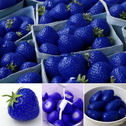 Blue Strawberry Fruit Seeds 100 Pcs Vitaminrich - BestSeedsOnline.com ...