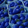 Organic Blue Strawberry Seeds 100 Pcs Set - BestSeedsOnline.com - Free ...