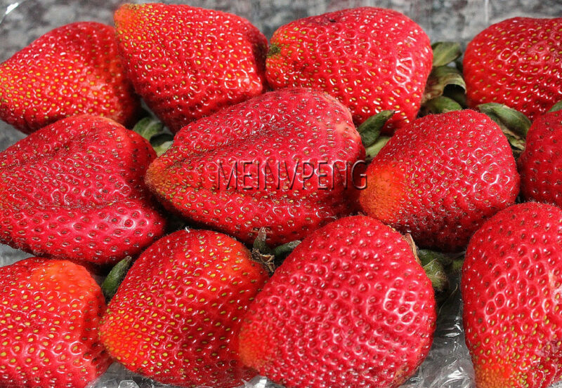 500pcs Organic Giant Strawberry Seeds Nongmo - BestSeedsOnline.com ...