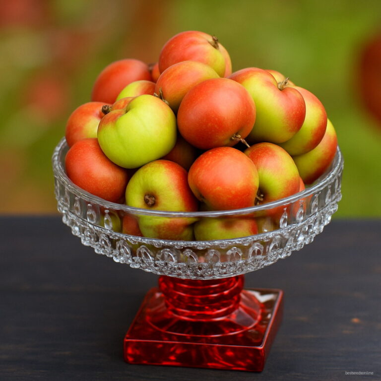 100 Pcs Lot Kiwi Fruit Bonsai Mini Plants Delicious Organic Vegetable ...