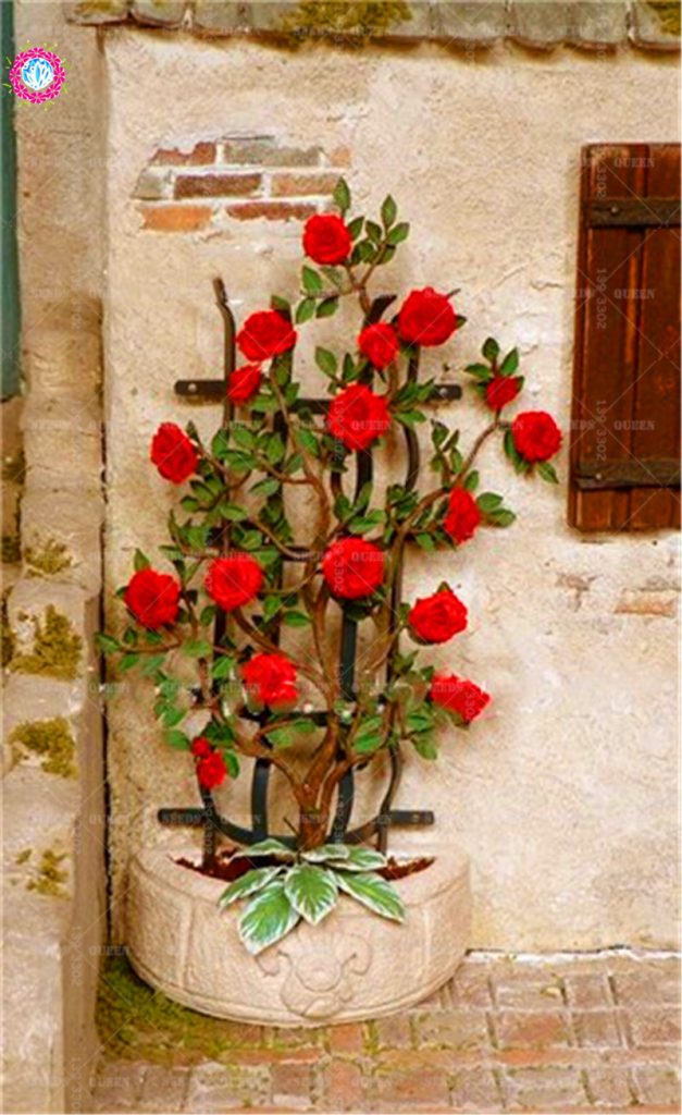 100 Pcs Japanese Climbing Rose Perennial Plants Vine Hanging Bonsai ...