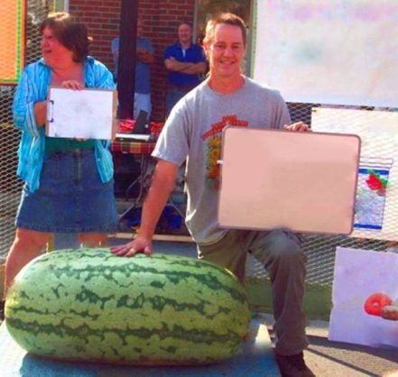 Giant Watermelon Seeds Nongmo 50 Pieces - BestSeedsOnline.com - Free ...